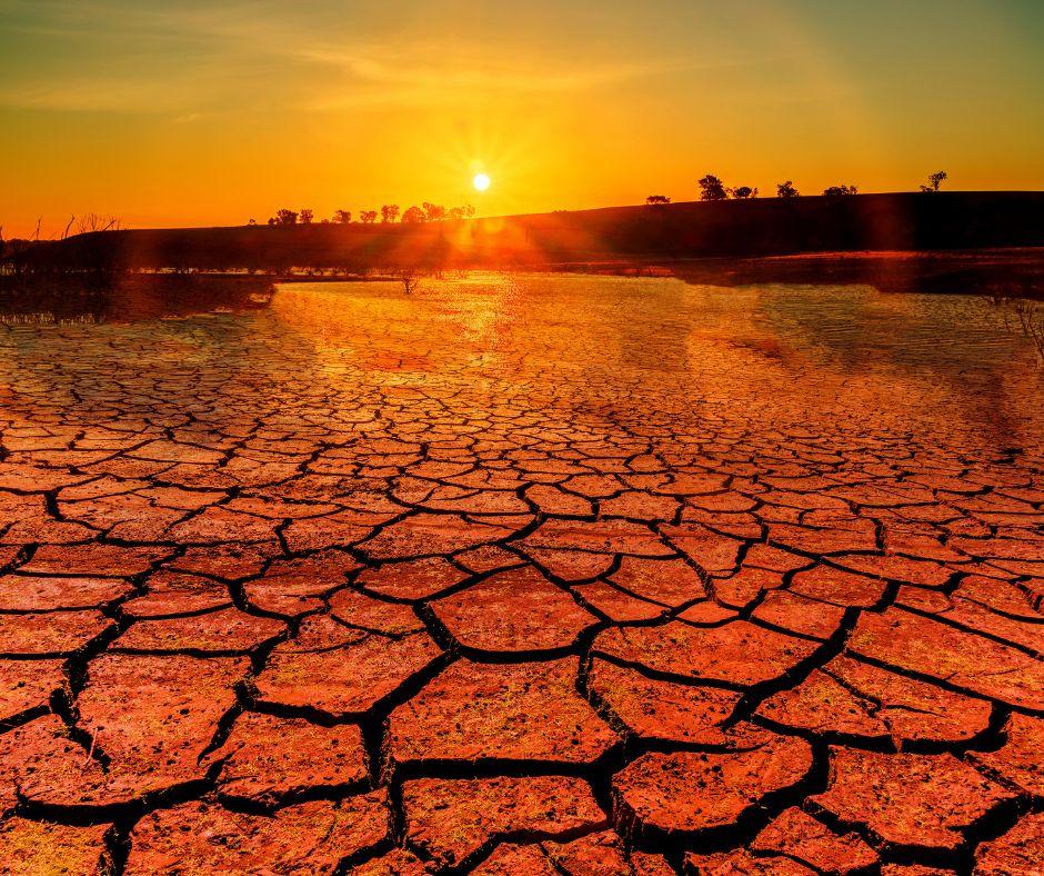 Réchauffement climatique, que disent les derniers indicateurs ...
